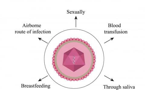 Lyme en voeding - LymeHerstel