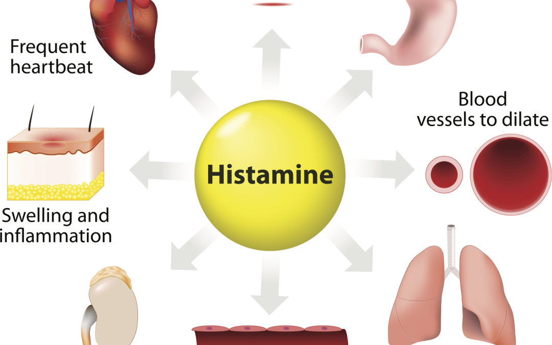 LYME HISTAMINE LymeHerstel